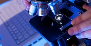 Entenda o papel da Comissão Nacional de Ética em Pesquisa (Conep) e o Sistema CEP/Conep